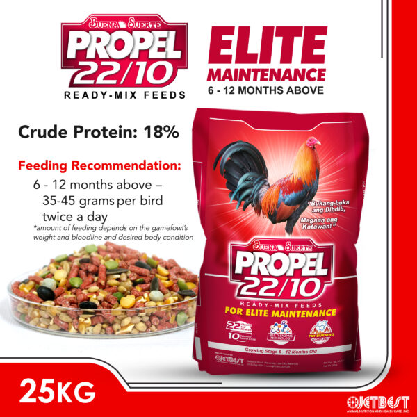 Propel 22/10 Elite Maintenance (6-12 months above) – Jetbest Official E ...