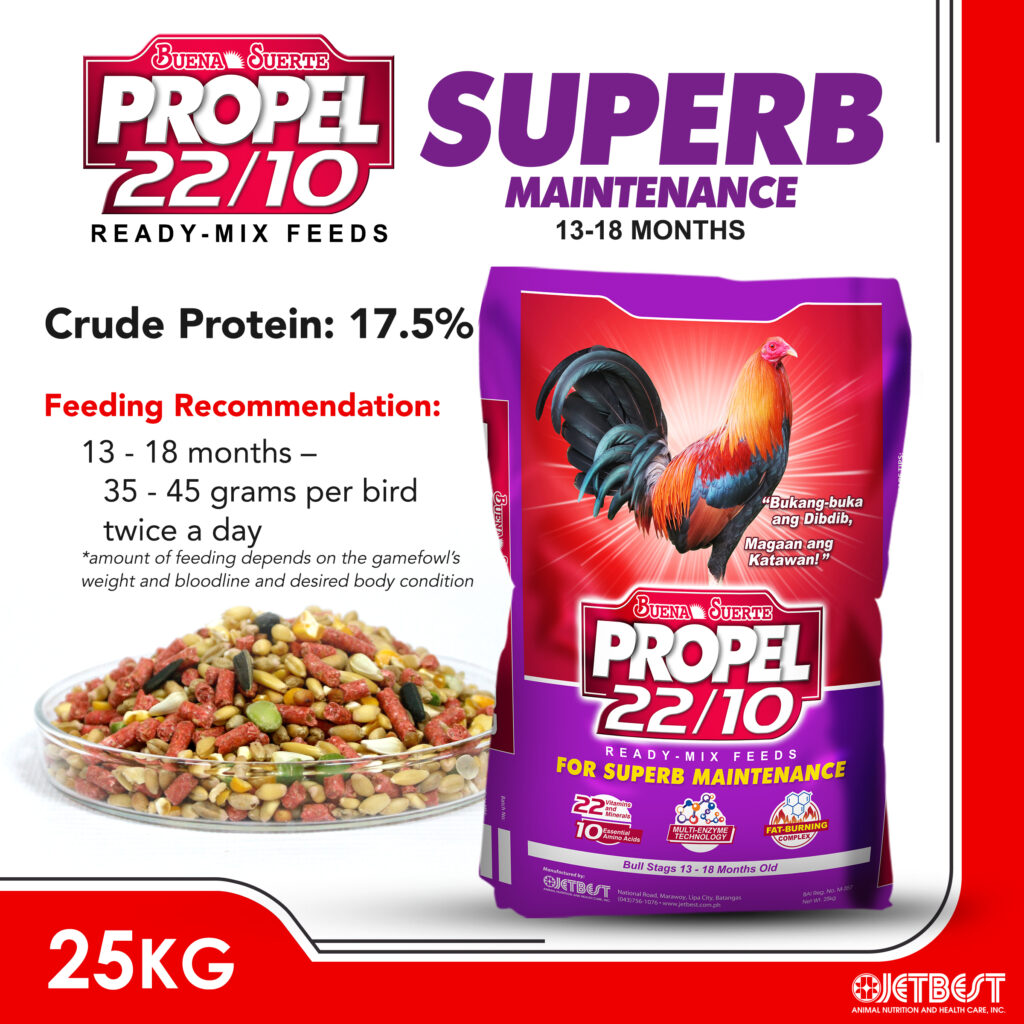 Propel 22/10 Superb Maintenance (13-18 months above) – Jetbest Official ...