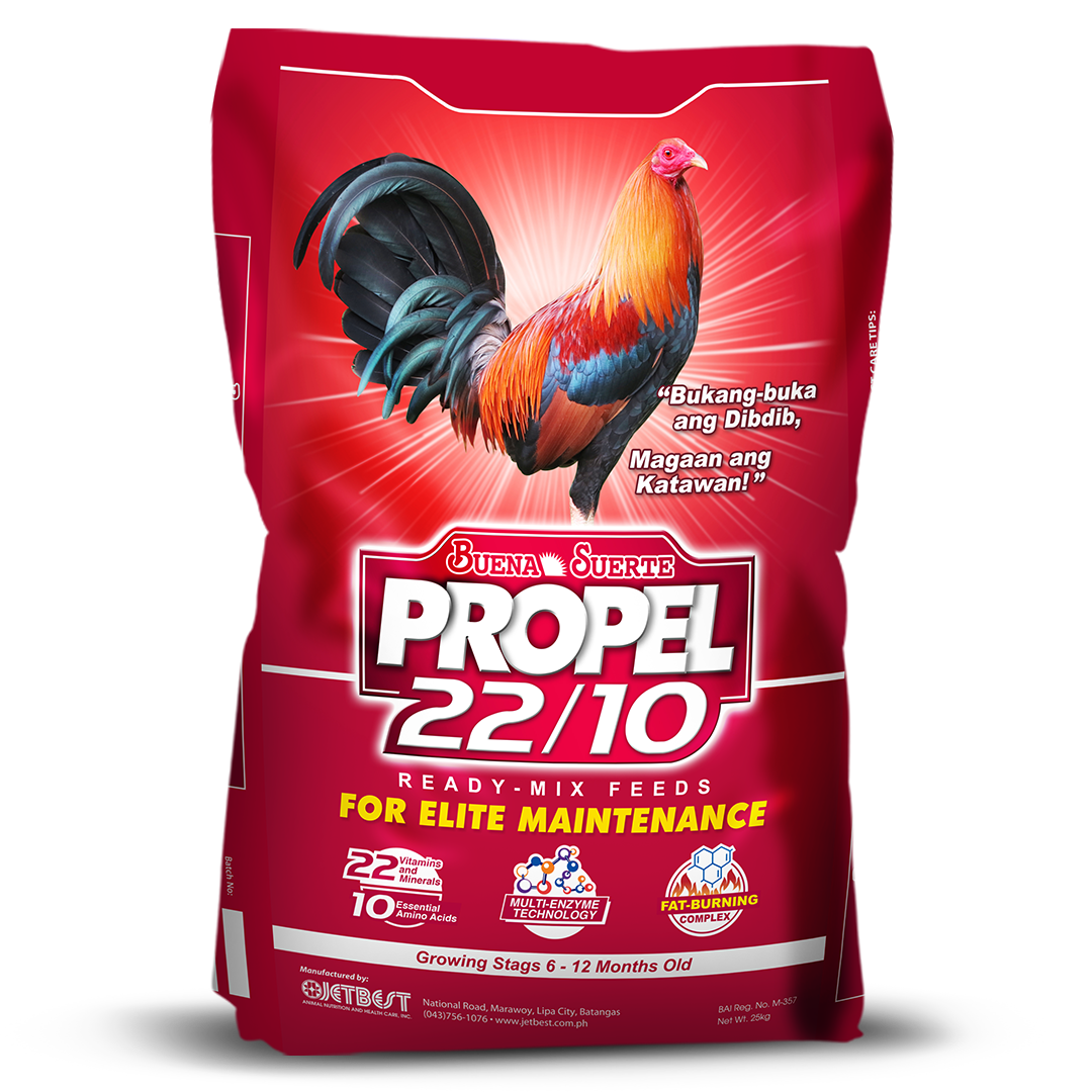 Propel 22/10 Elite Maintenance (6-12 months above) – Jetbest Official E ...